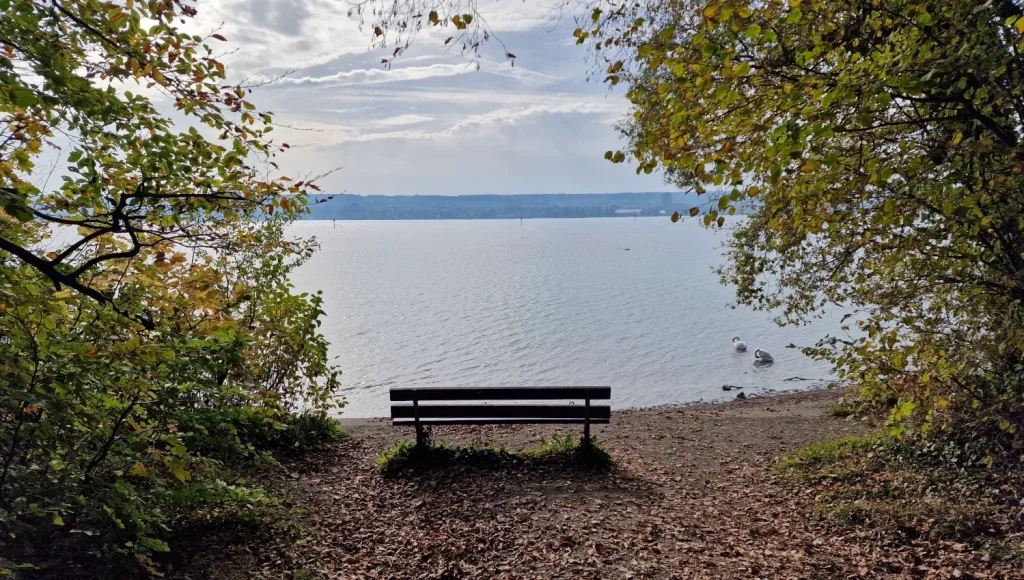 Qué ver en Constanza, Alemania - LuAventuras